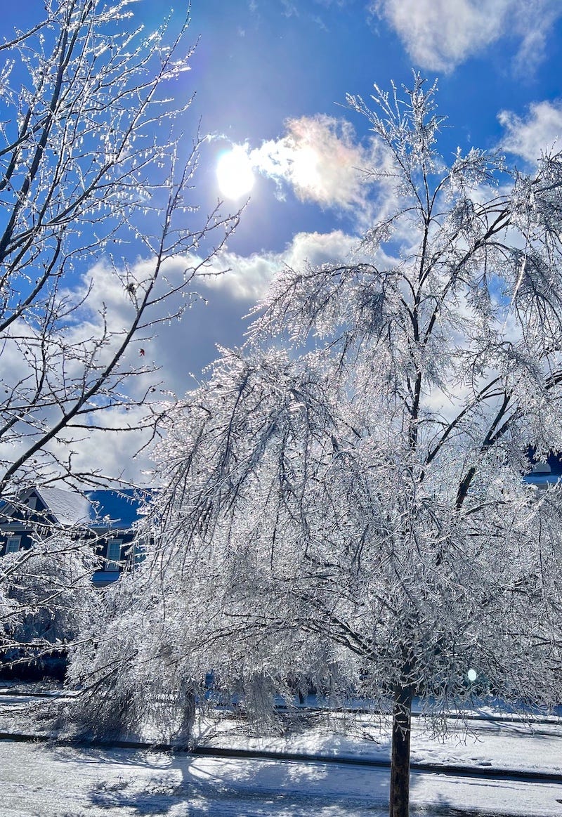 An Ice Storm and A Viral Video - by Kate Battistelli