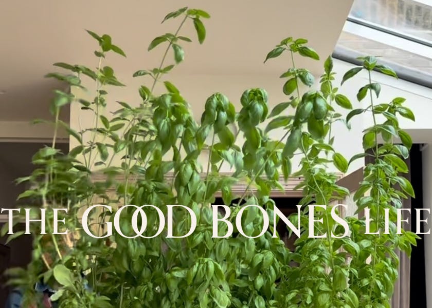 The Good Bones Life | Leanne Kilroy | Substack