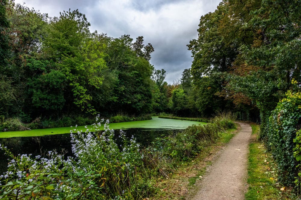 Top Ten Places to Visit in Enfield - by Narrative Nomad