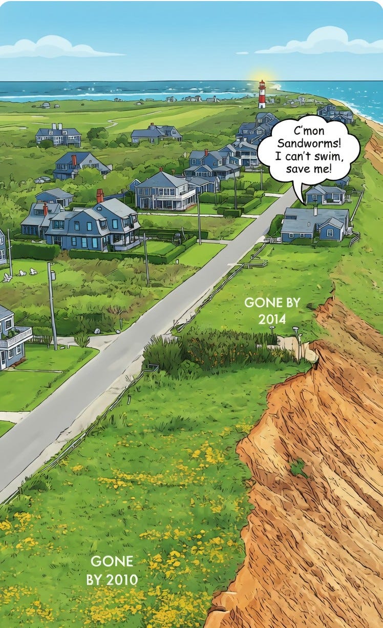 Erosion: The Great Terrain Robbery - by Jay Janney