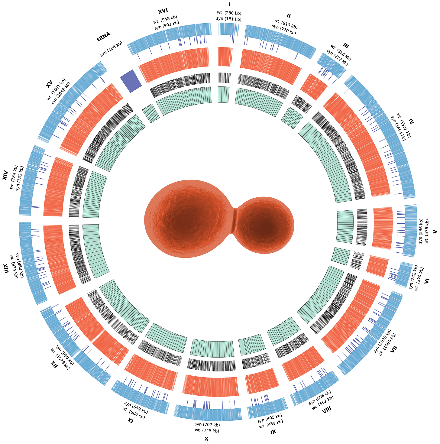 The Simulation Is Running Unsupervised… – USSA News | The Tea Party's ...