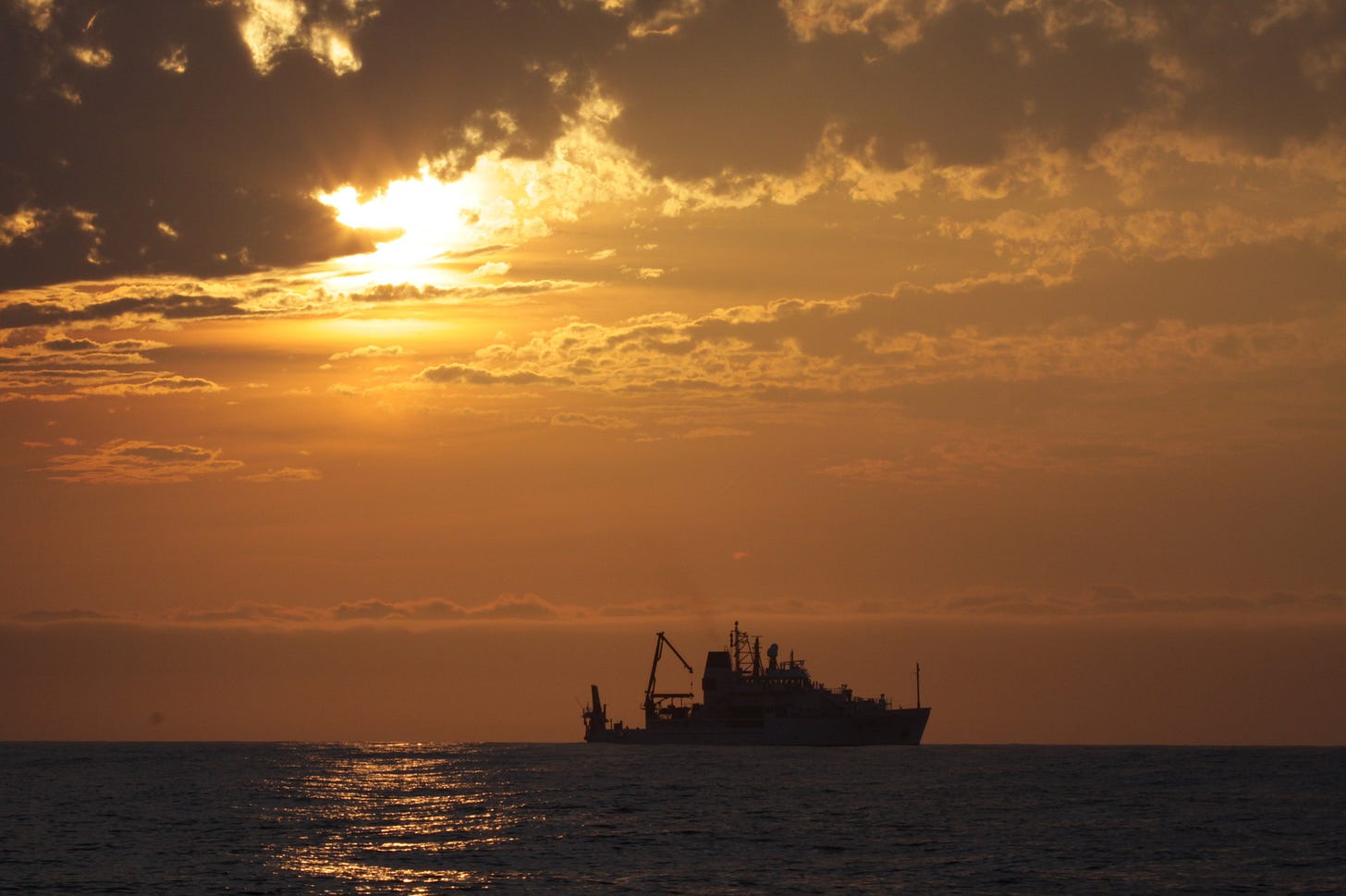 Deep Sea Mining for the Holidays - by Elyse Hauser