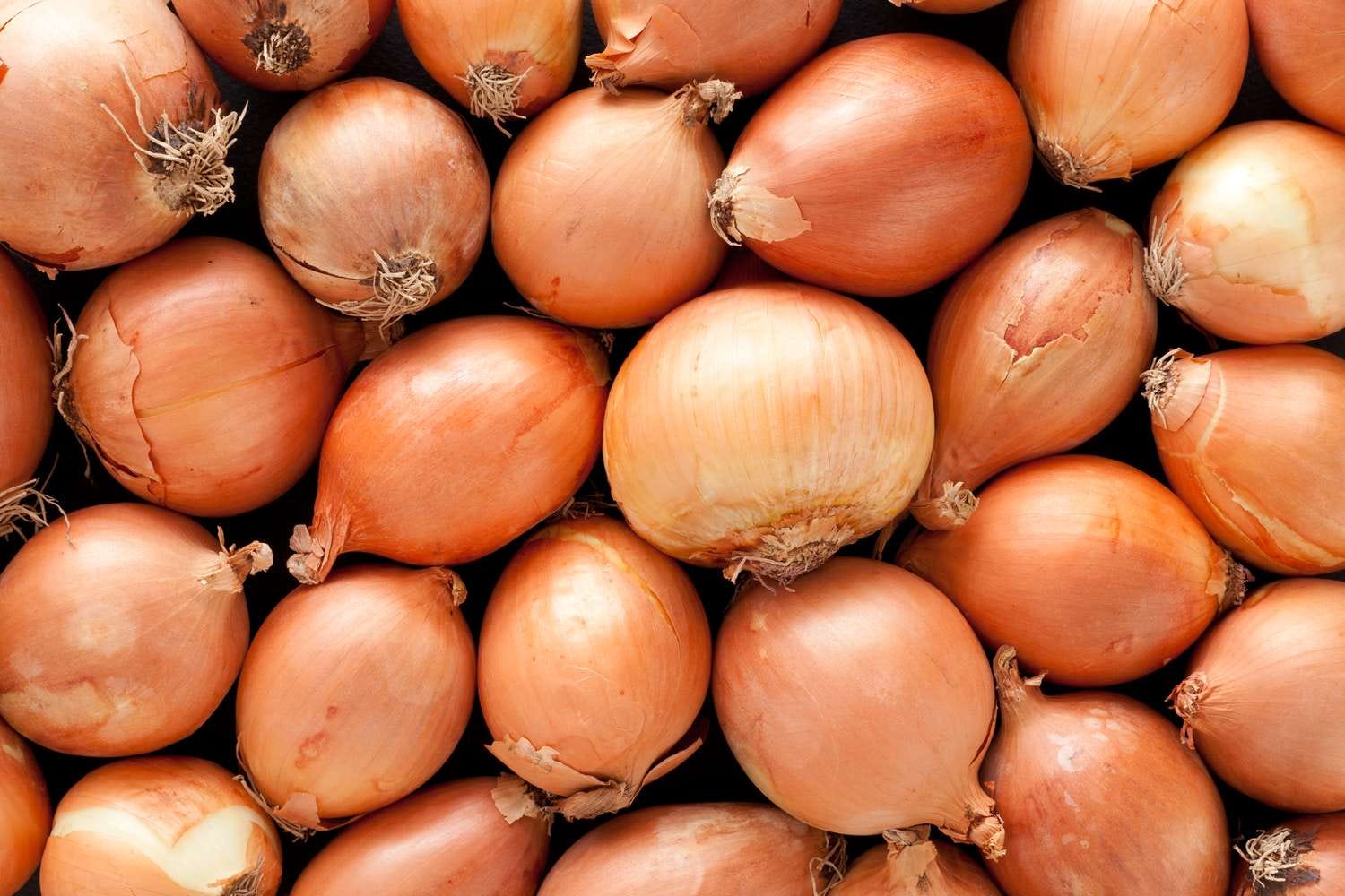 The Onion Futures Act - by William Forrest Crocker IV