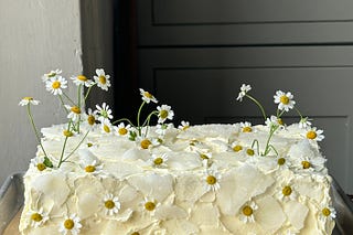 Kitchen Projects | Nicola Lamb | Substack