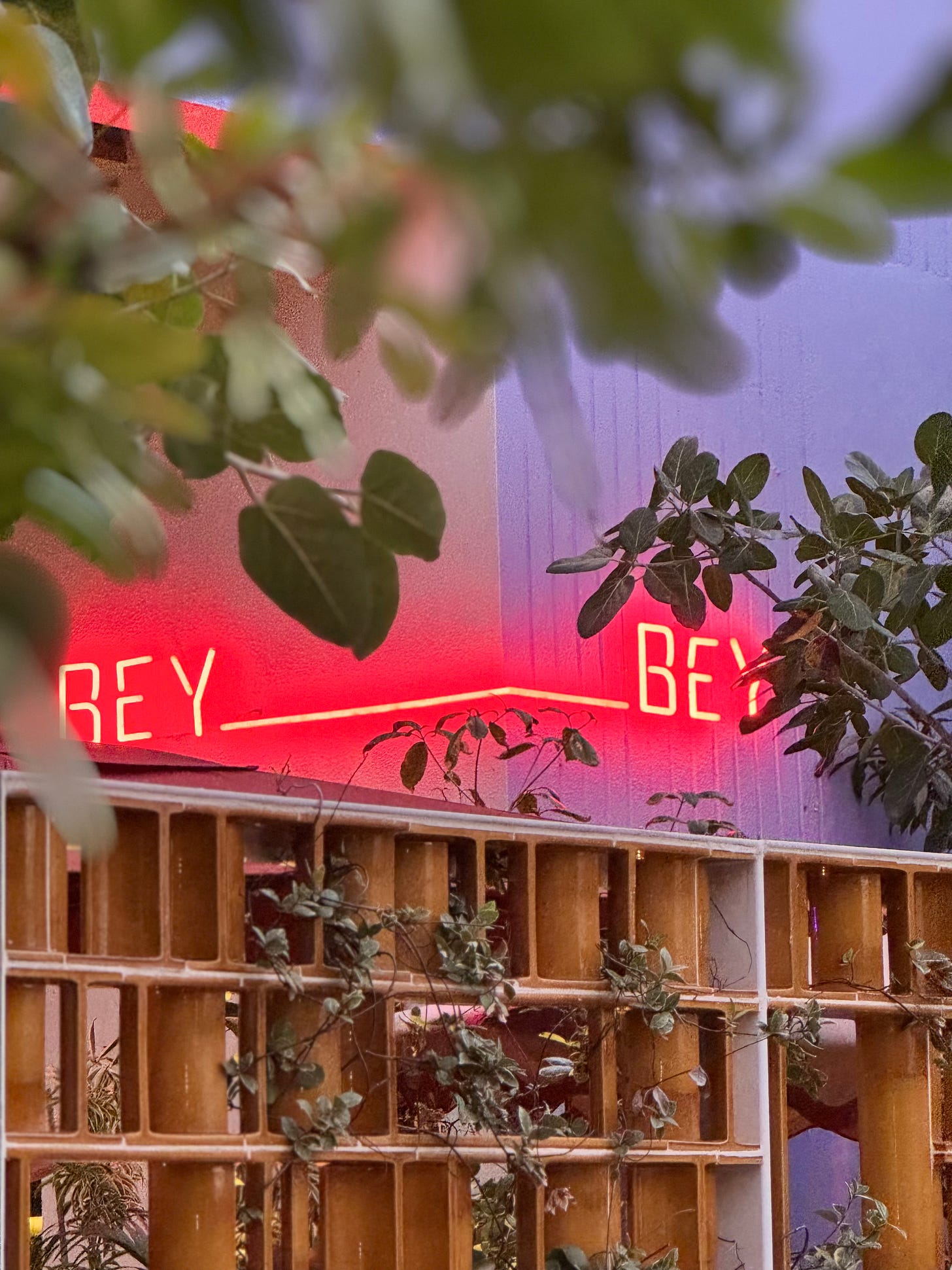 What's Good Miami Interview: Tiger Saliba of Bey Bey & Special Guest ...