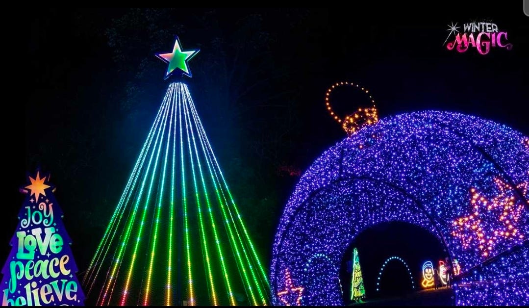 Holiday Magic Around Kansas City: Your Guide to Tree Lightings ...
