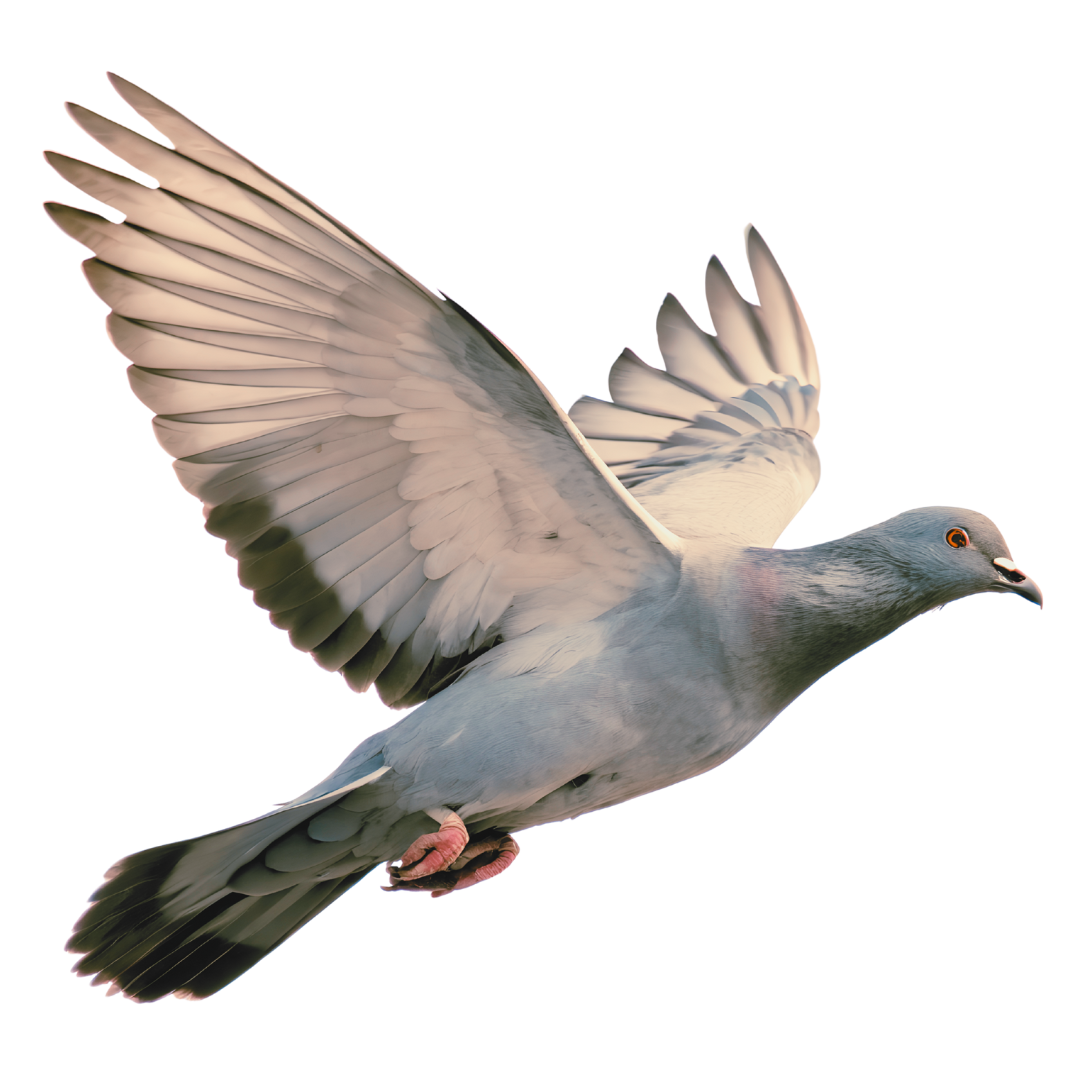 Who deserves to eat? - by Bri-anne Swan - Wilderness Times