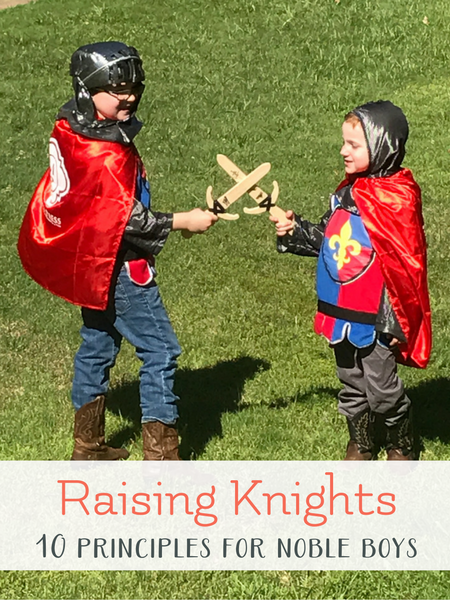 Raising Knights - by Lara - Everyday Graces Homeschool