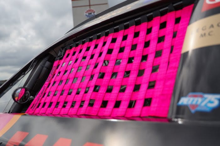 Honoring Breast Cancer Awareness Month: What pink window nets mean ...
