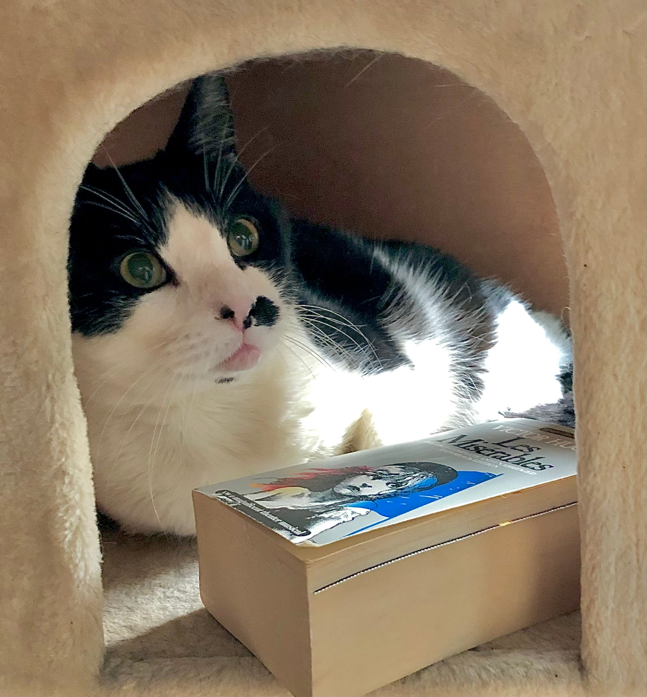 Lyta Gold | Substack