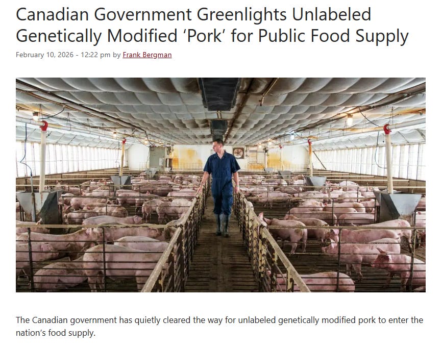 NEWS: Canadian Government Greenlights Unlabeled Genetically Modified ...