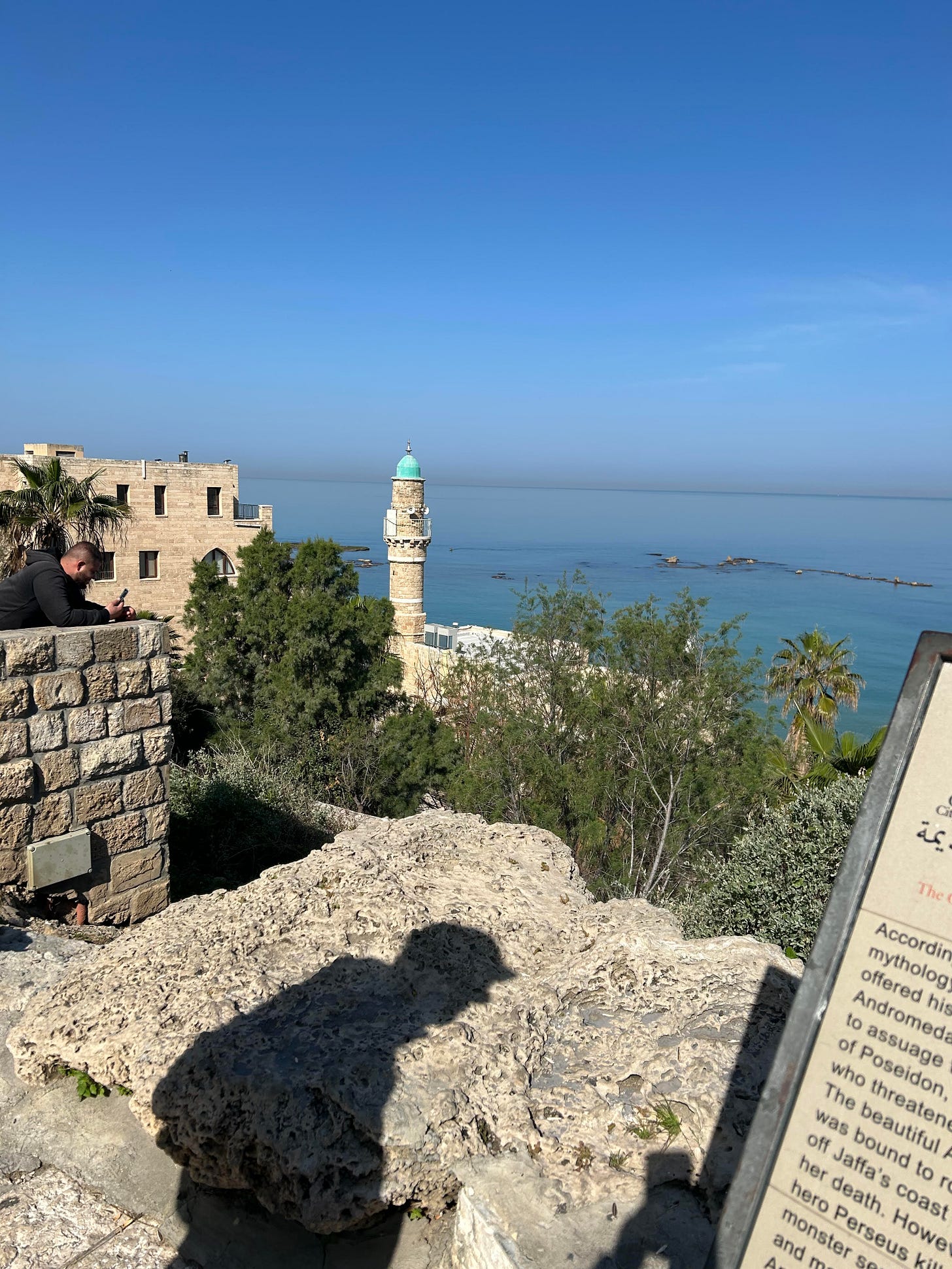 Lone Ambassador - by David Michael Slater - JUDITH MAGAZINE