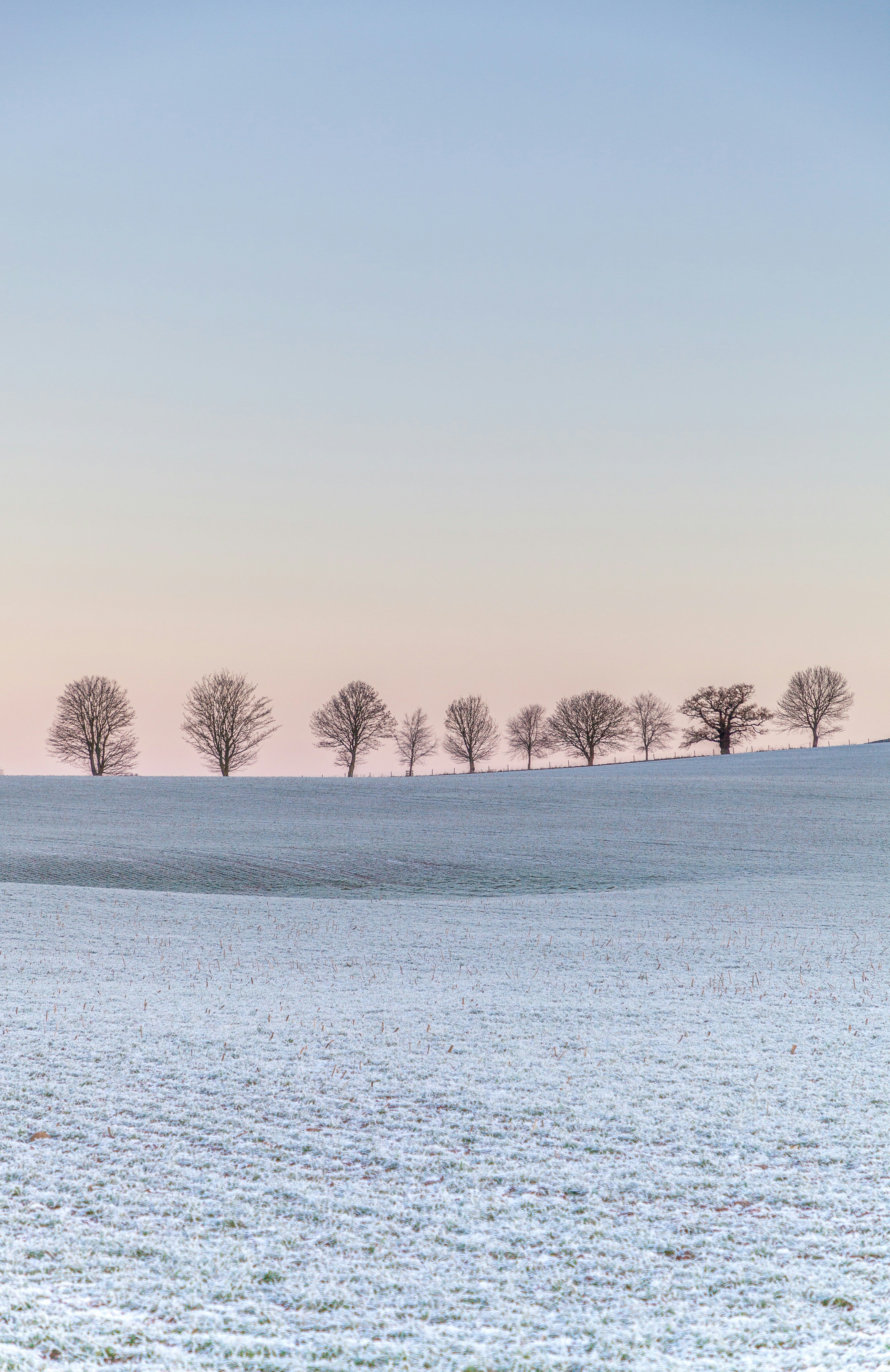 #BlackGirlWinter: Look for the light - by Toya Renée Smith