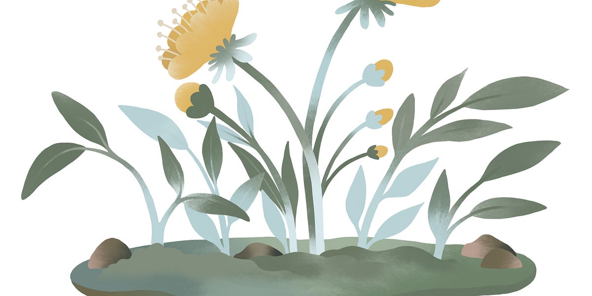 Comments - Welcome to the Hope Portal