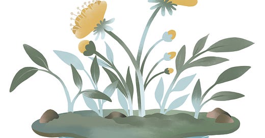 The Pause | The On Being Project | Substack