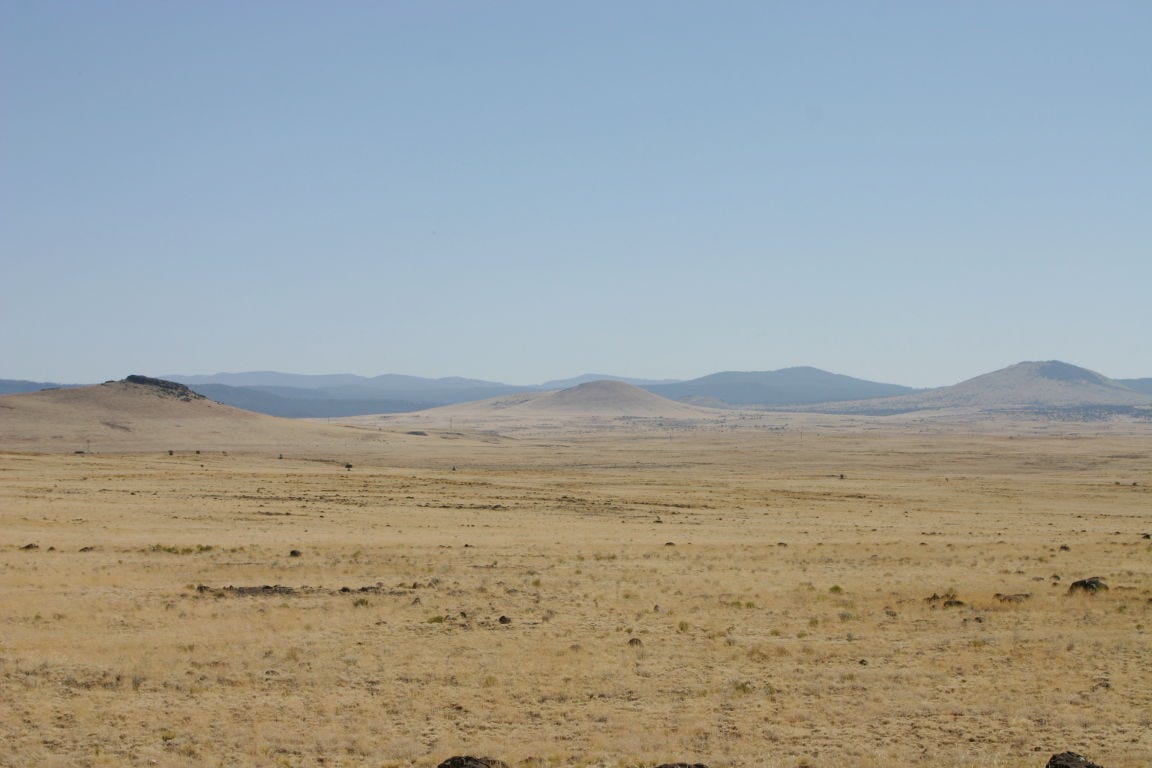 Why do people stagnate? - by Harjas Sandhu - Hardly Working