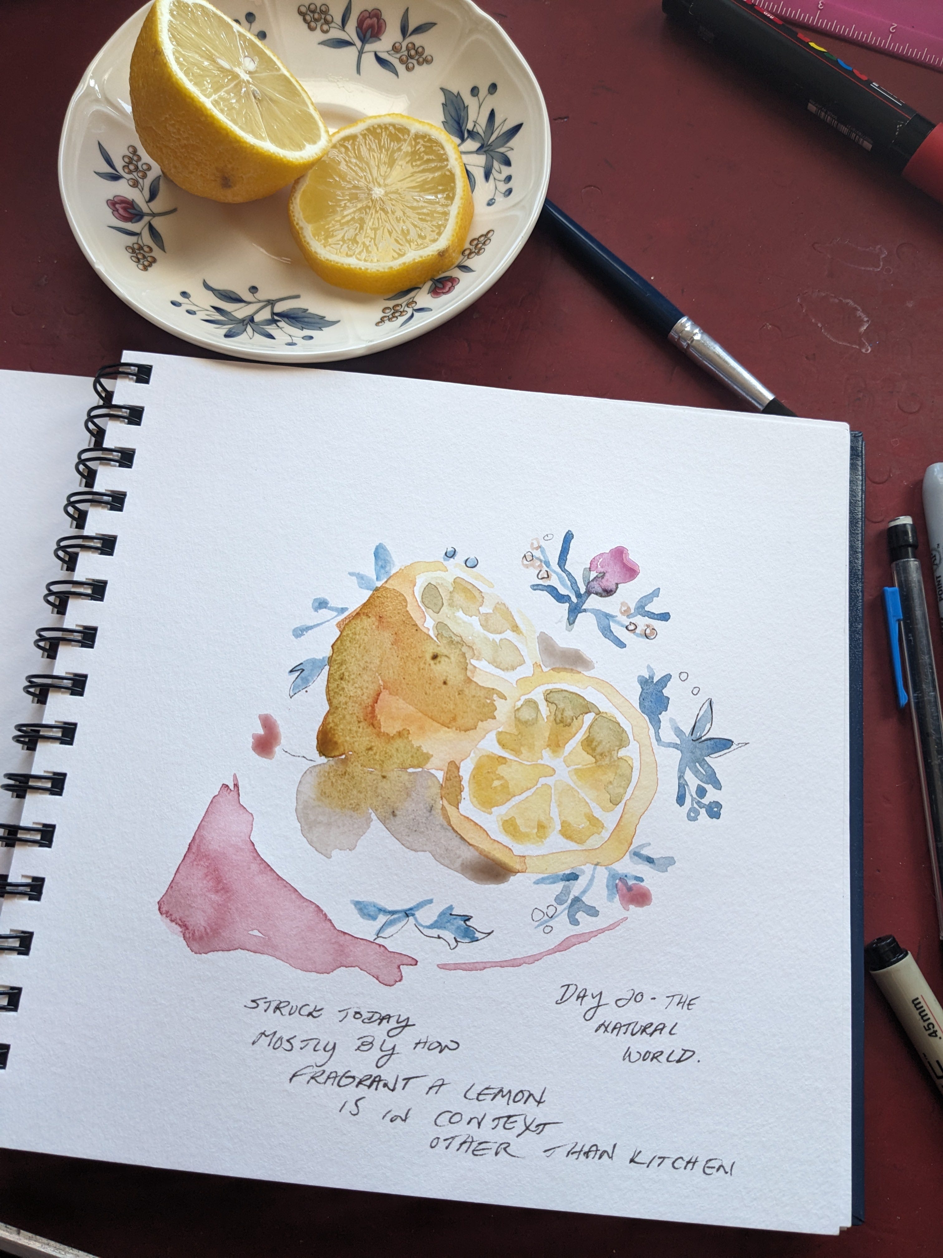 Day 21. Delicious Delights - by Wendy MacNaughton