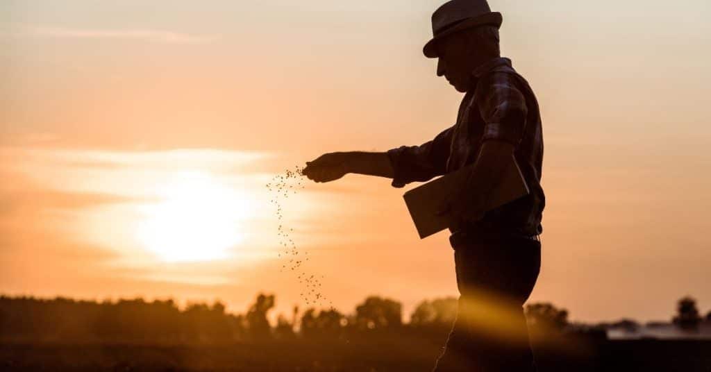 Seeds of Resilience - by Steven Disla