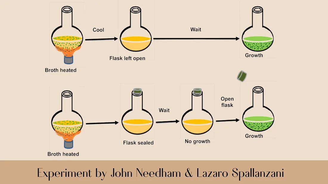 The Evolution of Spontaneous Generation Theory - by Shekhar