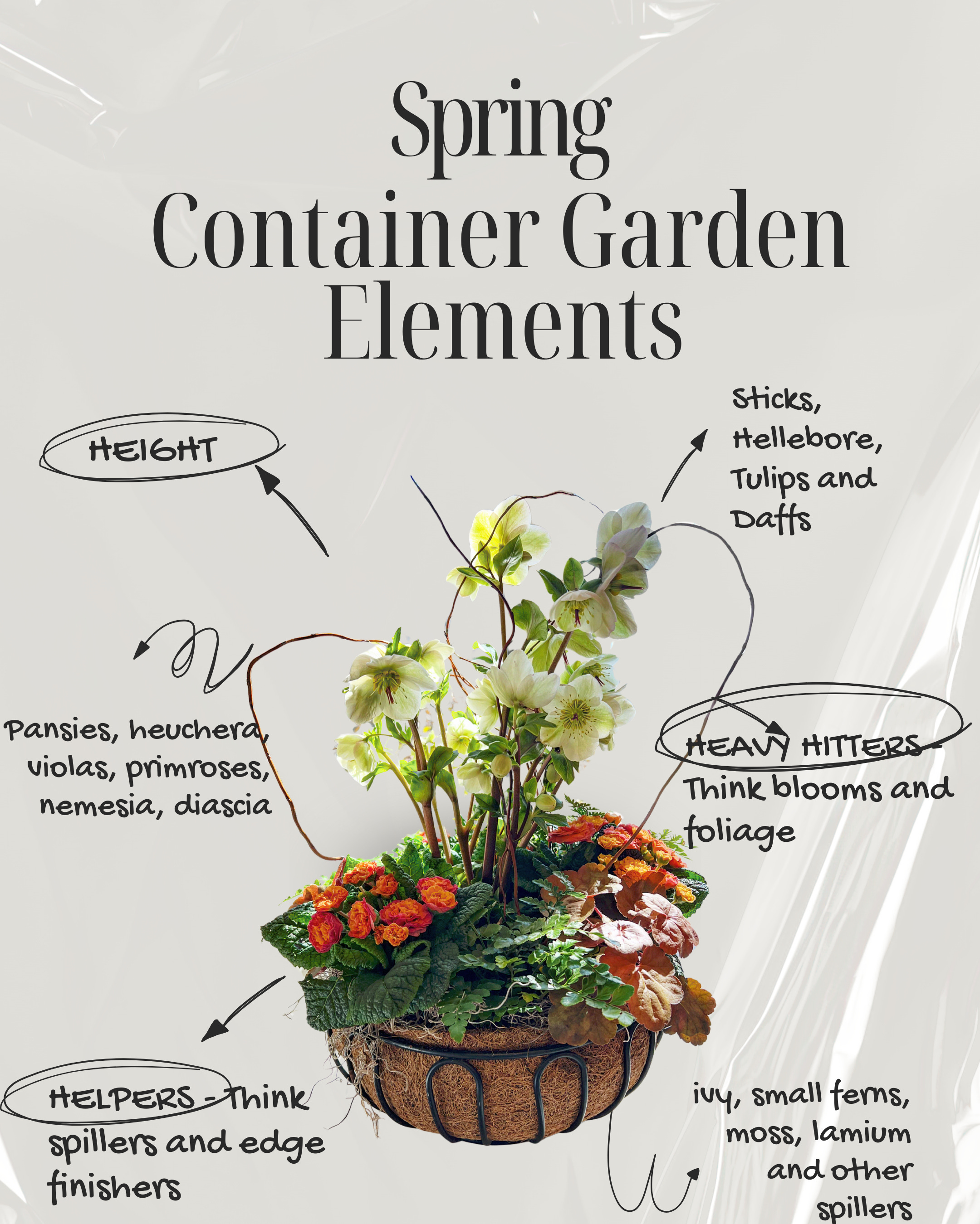 3 Easy Spring Container Garden Recipes - by Susan Nock