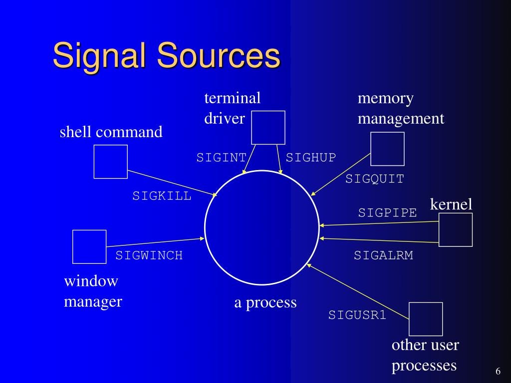 SIGINT vs. SIGTERM vs. SIGKILL - The Coding Gopher