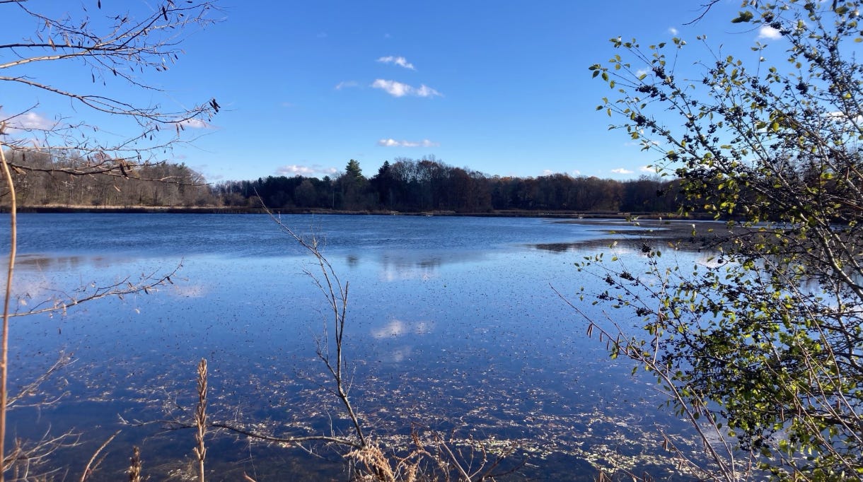 County Receives Grant for Lewis Emery Park