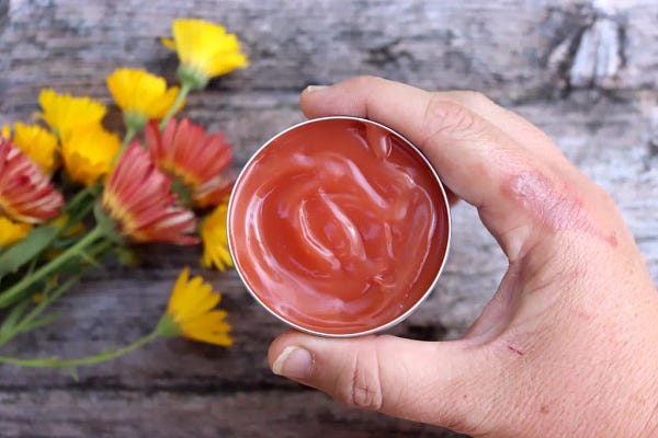 Practical Self Reliance | Ashley Adamant | Substack