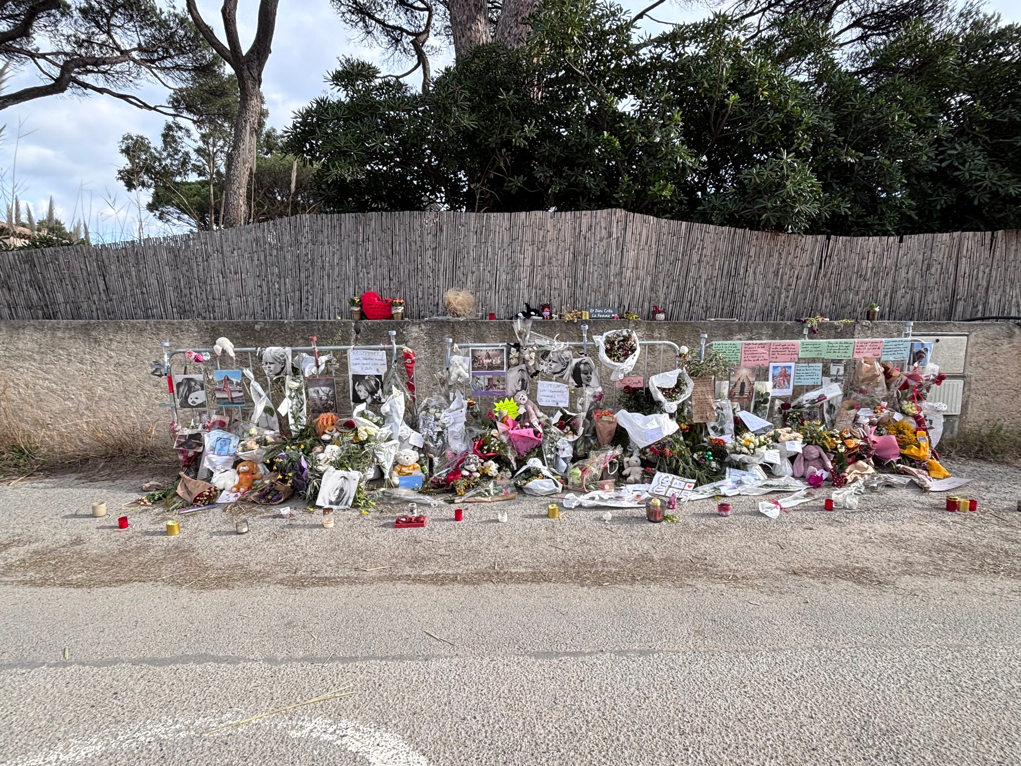 Bye Bye, Bébé - Dana Thomas