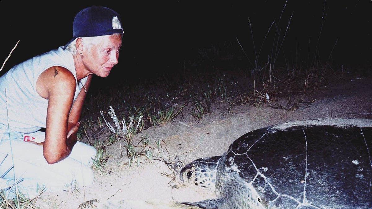 Israel murders Lebanese Sea-Turtle conservationist