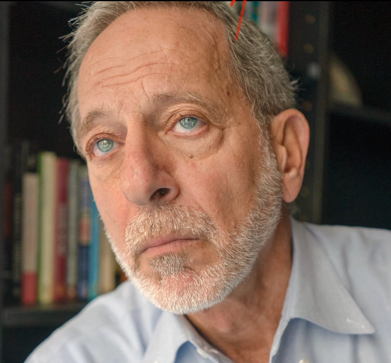 Voices for Palestine: Thinkers, Writers, and Activists Who Inspire Us