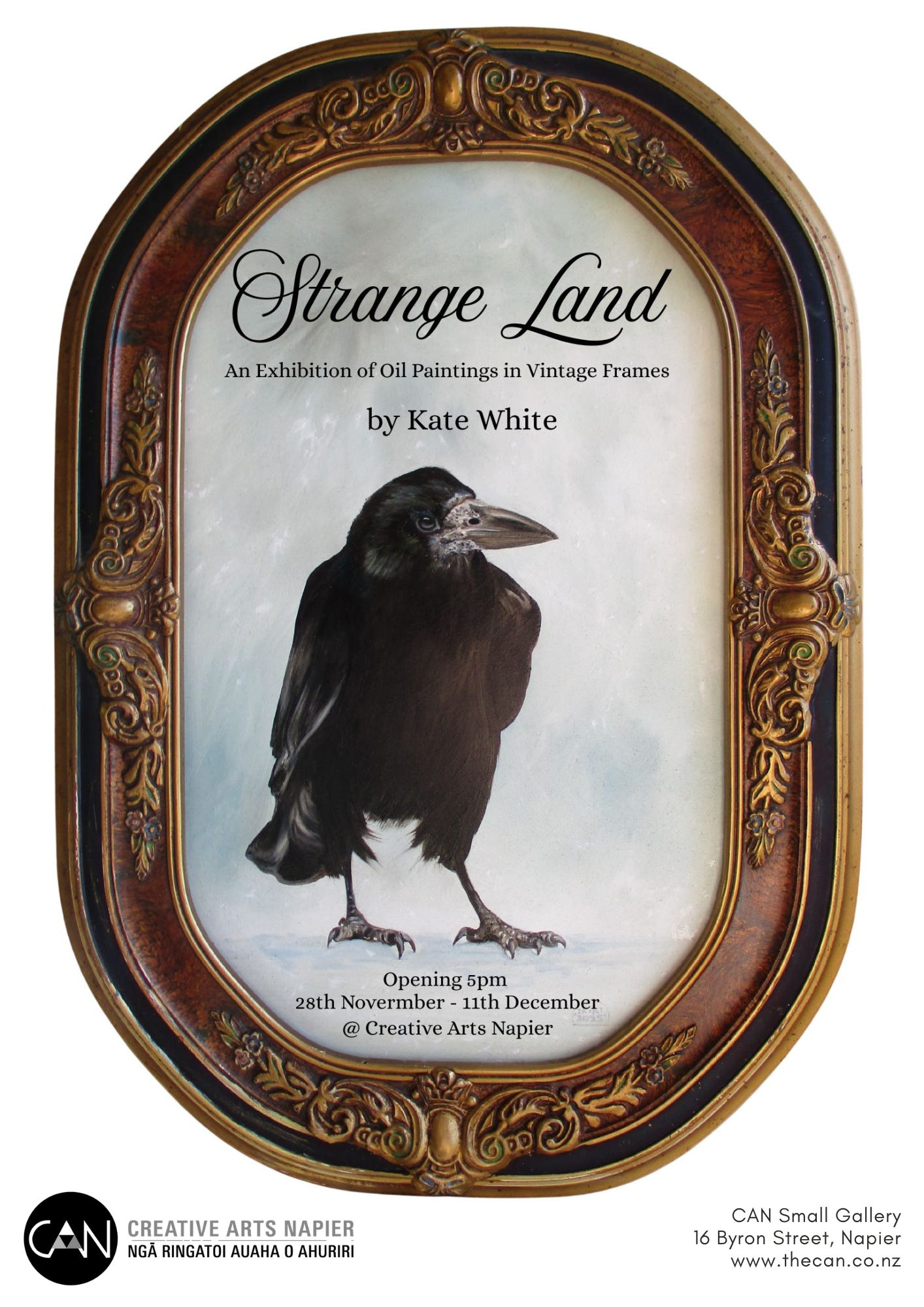 The Sky-Blue eyes of the target species - by kate white