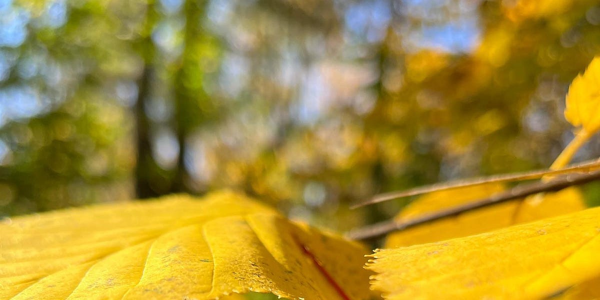 Let Hope Stay - by James Crews - Poetry Is Life