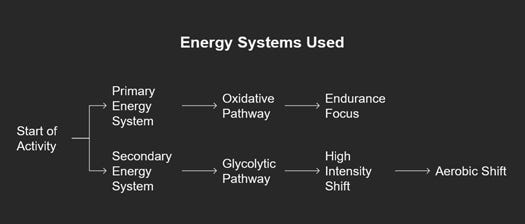 The Science of Speed: Unlocking the Three Energy Systems for Swimming ...