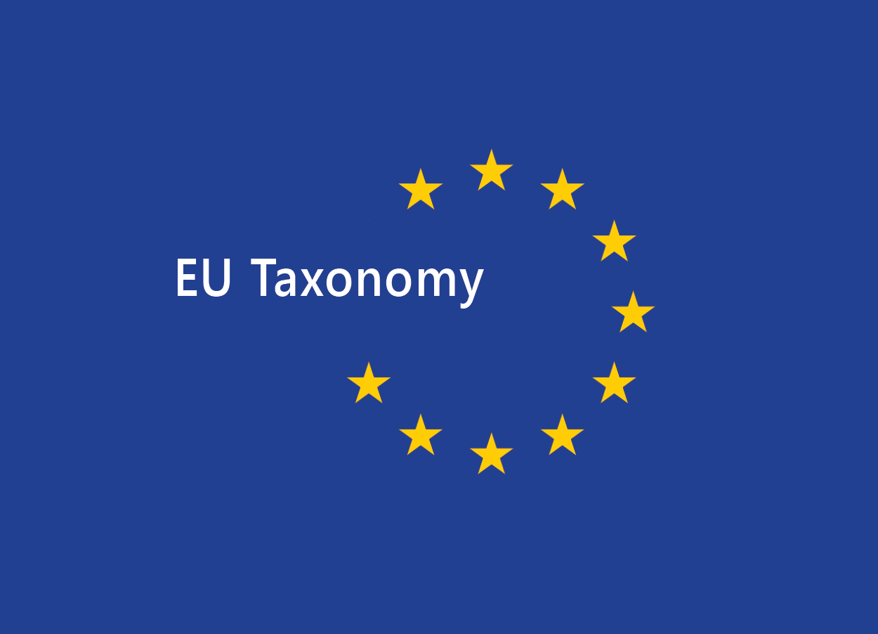 The EU Taxonomy Explained - From Policy to Practice