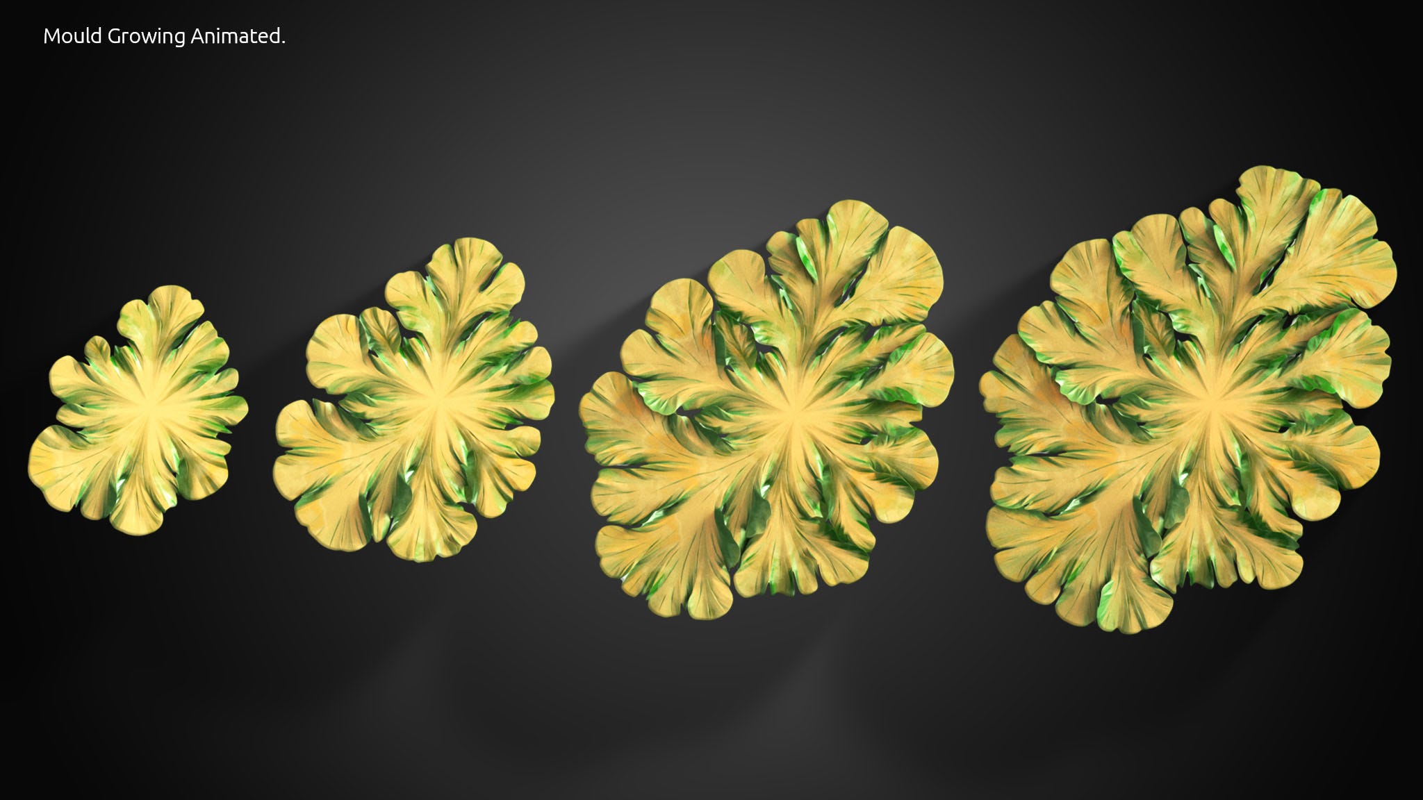 Differential Growth Blender, 3ds Max & tyFlow
