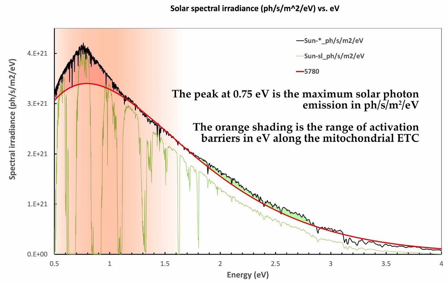 Do Humans Photosynthesise? - by Cameron Borg