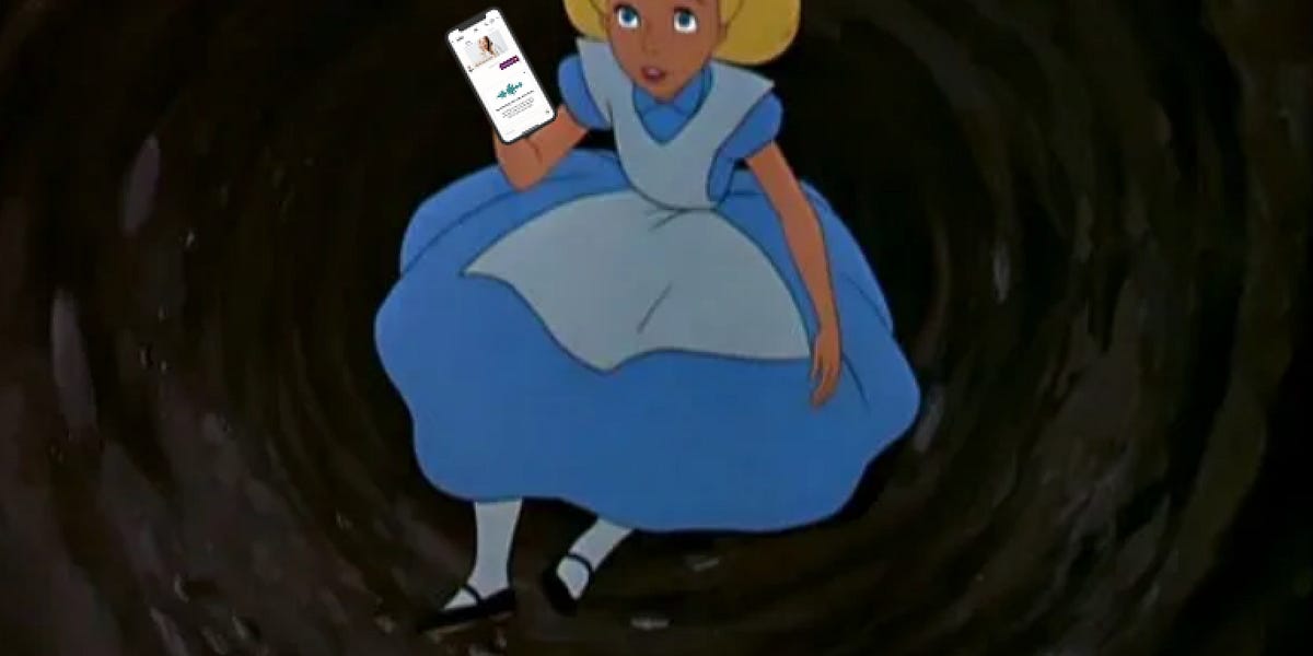 fallen down a rabbit hole