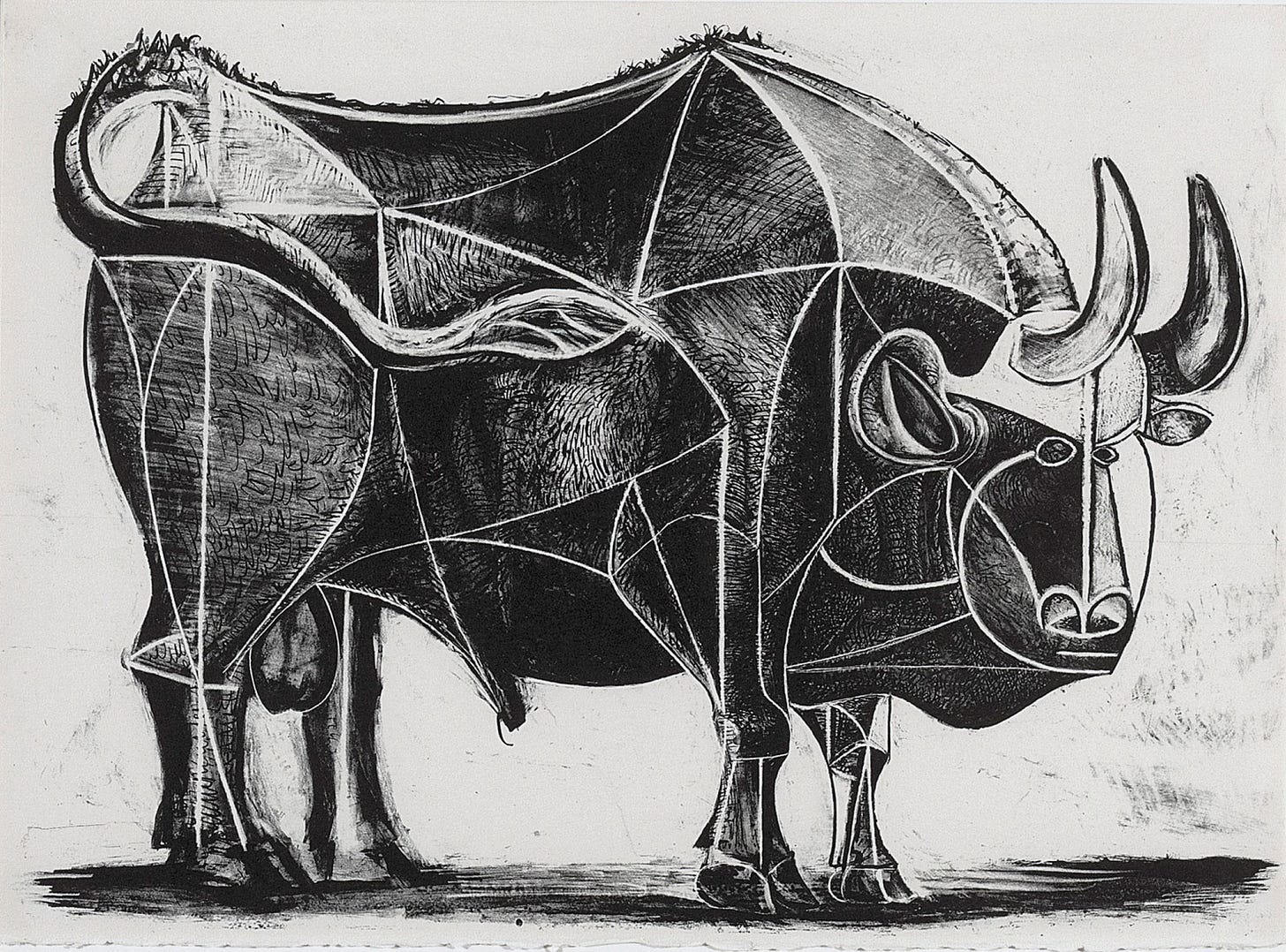 The World's Oldest and Most Modern Bull