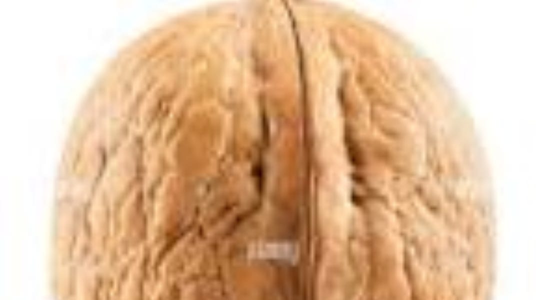 I Lost my Walnut Vol 1 - by David Levine - David’s Substack