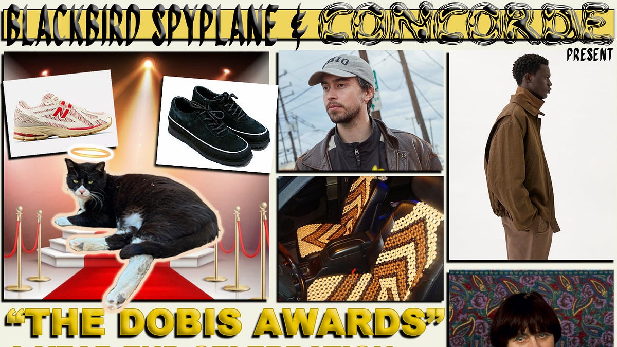 The DOBIS Awards - Blackbird Spyplane