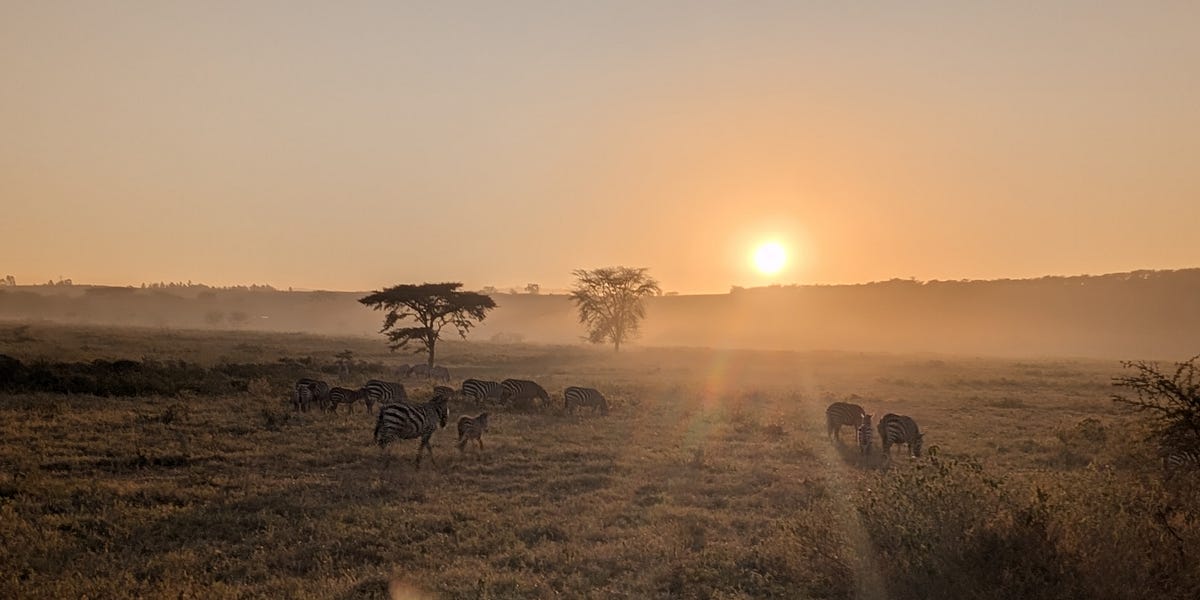 They Were Afraid Of Us - by Ben Hall - Ben’s Substack