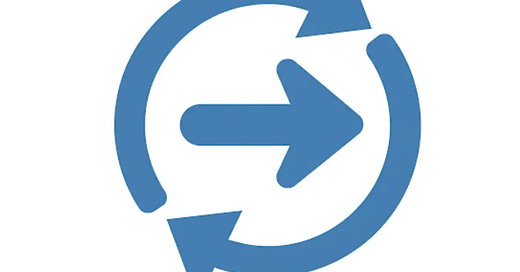 The Permanent Campaign | Stef Feldman | Substack