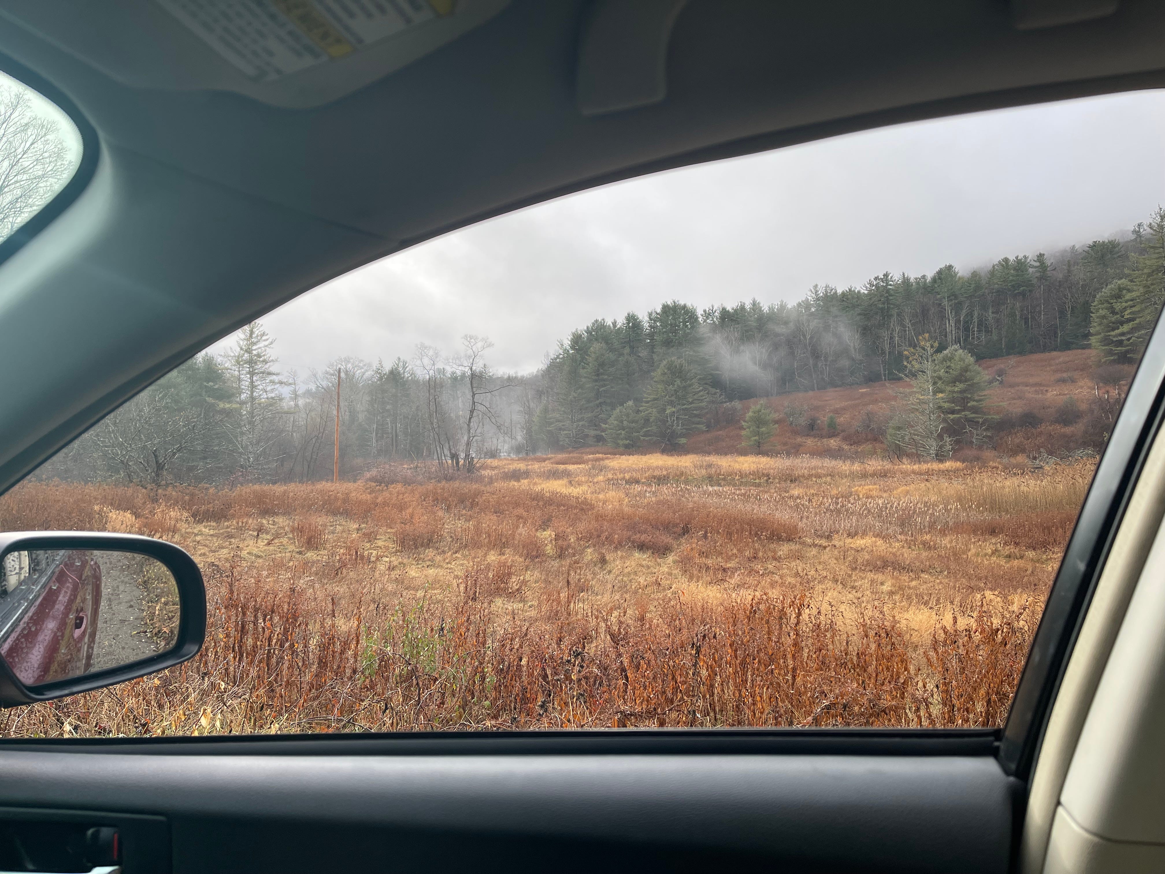 Birding Skills: Birding by Car - Birding University