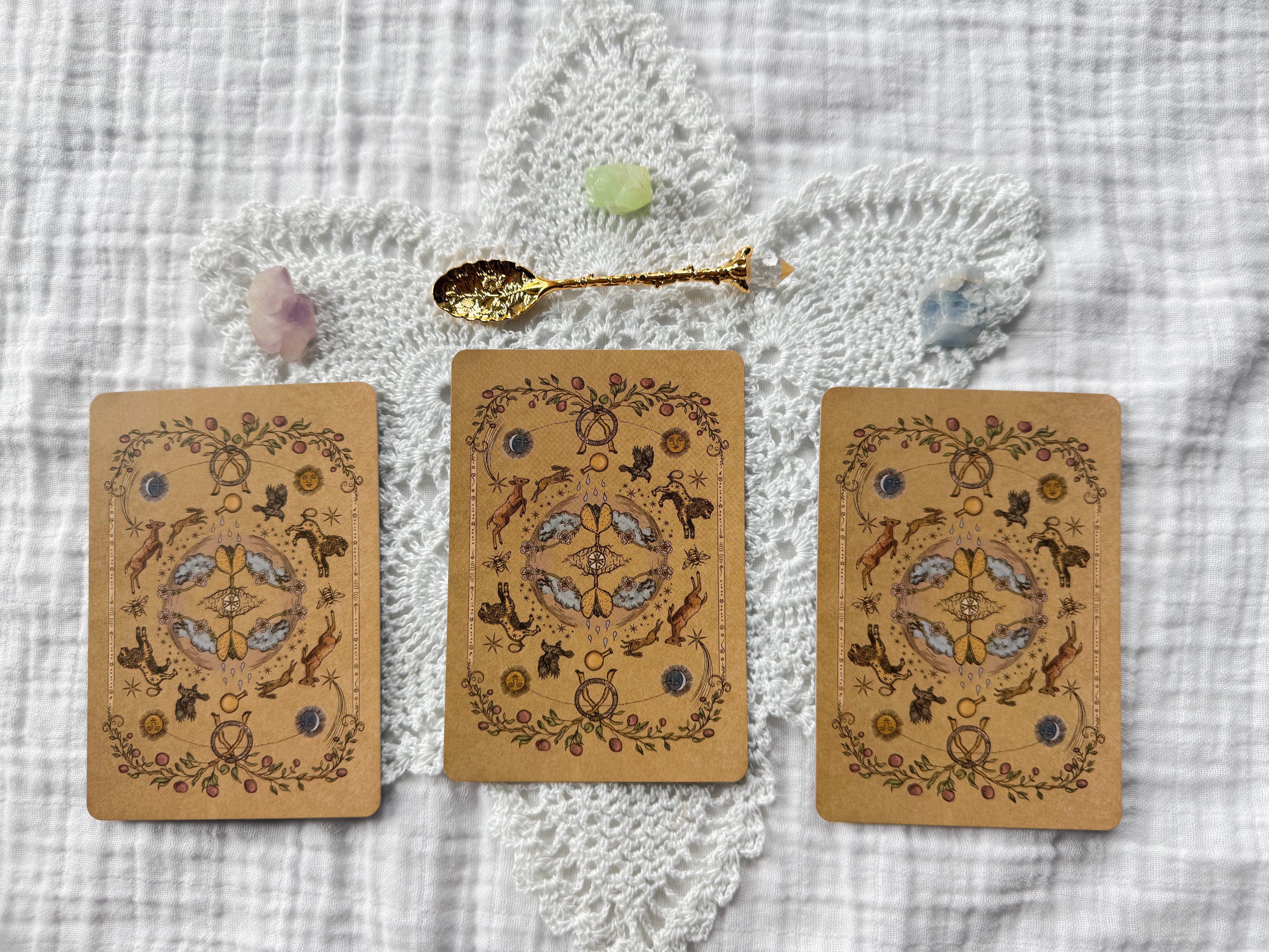 January New Moon Card Reading - The Herbology Faerie