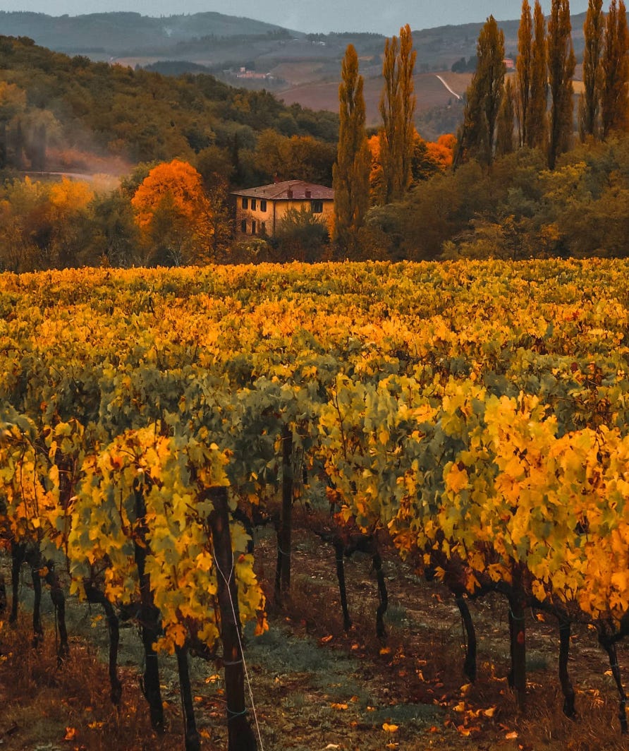A Guide to Chianti, Italia - by H & B