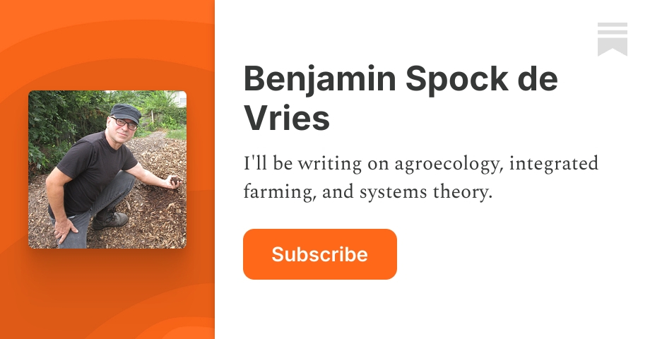 Benjamin Spock de Vries | Substack