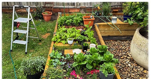 Cecilia at The Kitchen’s Garden Travels | Cecilia At The Kitchens Garden | Substack