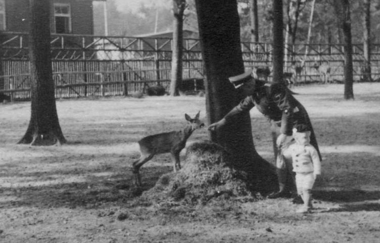 The Zoo of Buchenwald Concentration Camp - Karl’s Substack