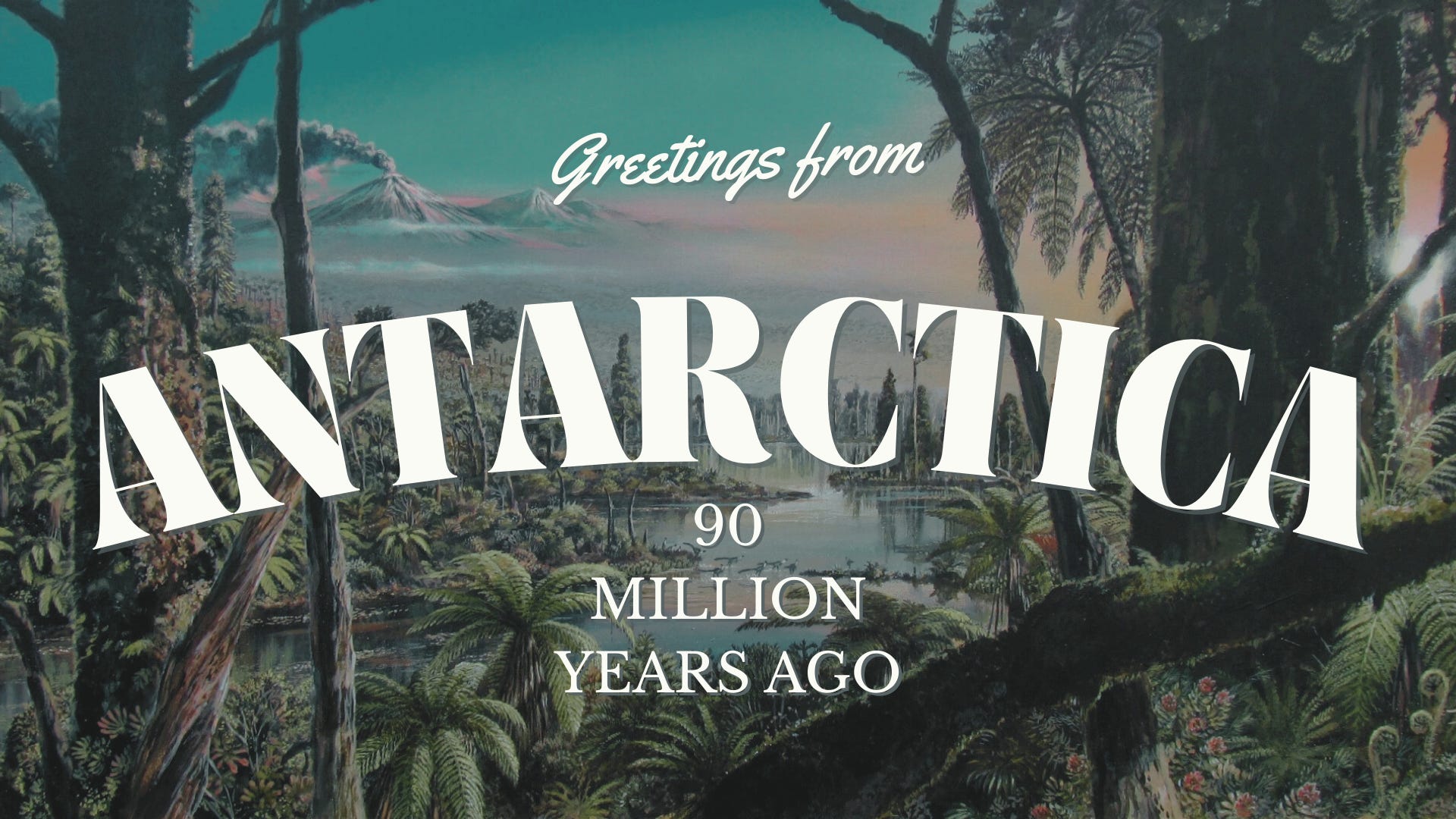 Scientists Found a 90-Million-Year-Old Rainforest at the South Pole