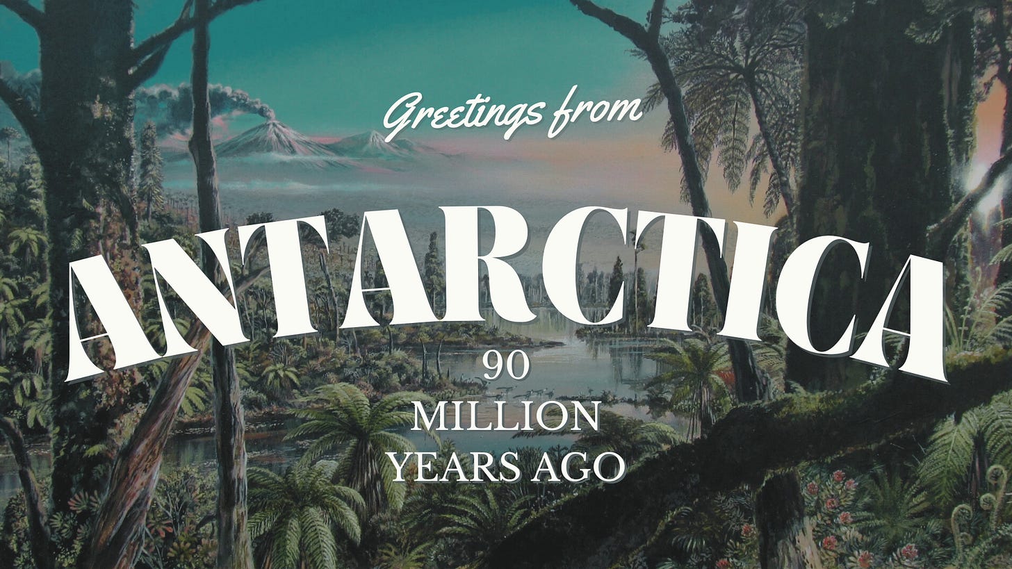 Scientists Found a 90-Million-Year-Old Rainforest at the South Pole